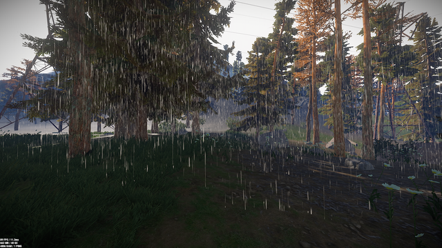 THE PIRATES COVE – Rust Gaming Server